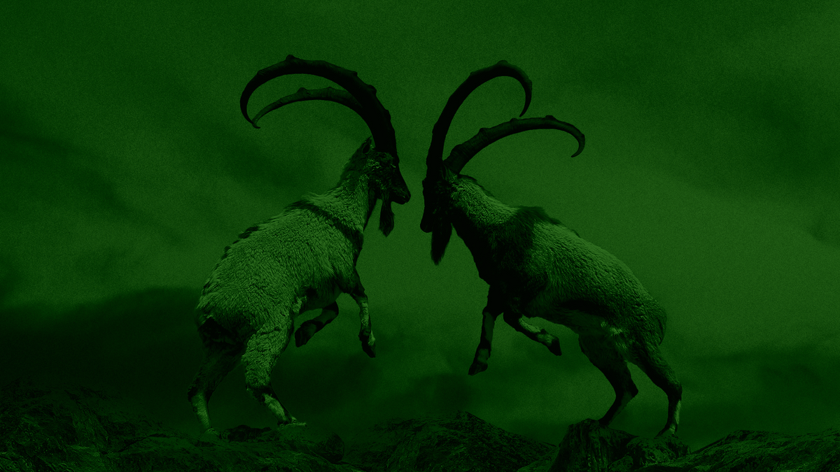 Groweo® Growth Apps – Uuden ajan vuorovaikutustyökalut – Wuohi Digital